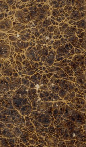 Archive of: https://elib.nlu.org.ua/files/Disk3/000000013593/cover.jpg ...